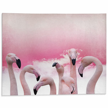 Flamingo Rugs & Custom Size Floor Mats