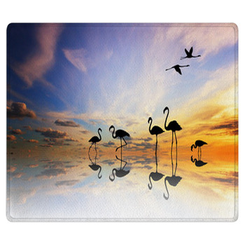 Flamingo Area Rugs & Custom Size Floor Mats