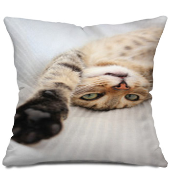 Cat Throw Pillows, & Shams