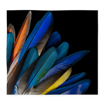 Feather Rugs & Custom Size Floor Mats