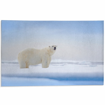 Polar bear Area Rugs & Floor Mats