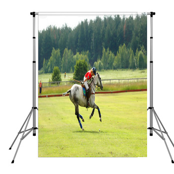 Polo Photographer Backdrops | Available in Super Large Custom Sizes