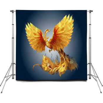Phoenix Photographer Backdrops | Available in Super Large Custom Sizes
