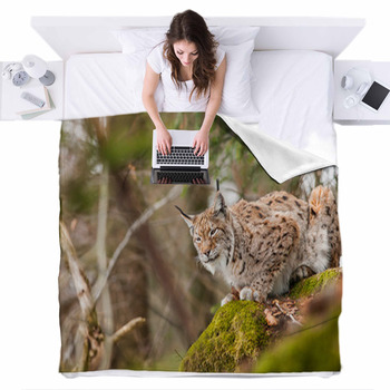 Bobcat Comforters, Duvets, Sheets & Sets | Personalized