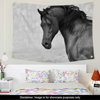 Horse Wall Decor in Canvas, Murals, Tapestries, Posters & More