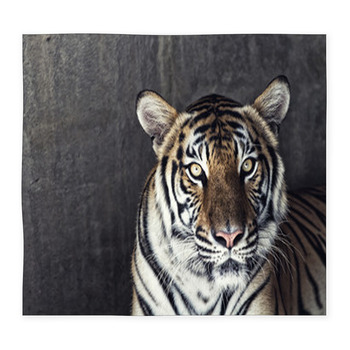 Tiger Area Rugs & Custom Size Floor Mats