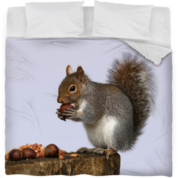 Squirrel Fleece Blanket Throws | Free Personalization