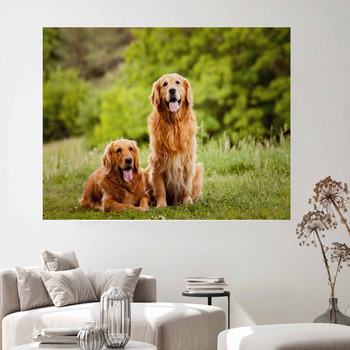 Dog Wall Decor | Murals | Tapestry | Posters | Custom Sizes