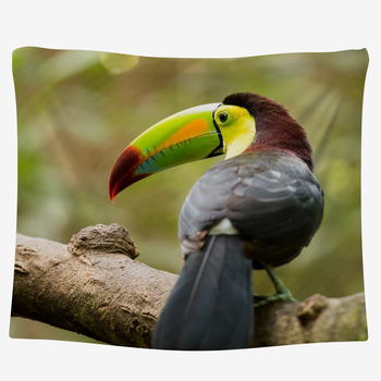 Toucan Custom Size | Available in nearly ANY Custom Sizes