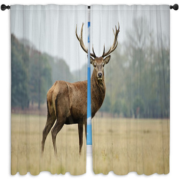 Deer Drapes & Window Treatments | Block Out | Custom Sizes