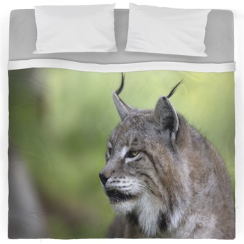 Bobcat Comforters, Duvets, Sheets & Sets | Personalized