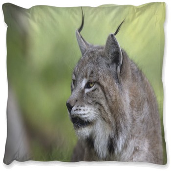 Bobcat Comforters, Duvets, Sheets & Sets | Personalized