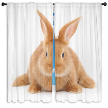 Bunny Drapes & Window Treatments | Black Out | Custom Sizes