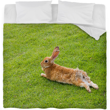 Bunny Fleece Blanket Throws | Free Personalization