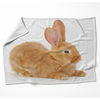 Bunny Fleece Blanket Throws | Free Personalization
