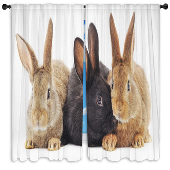 Bunny Drapes & Window Treatments | Black Out | Custom Sizes