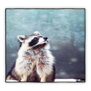 Raccoon Area Rugs & Custom Size Floor Mats