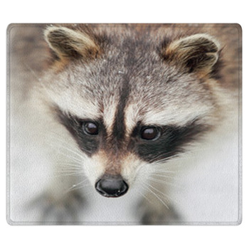 Raccoon Area Rugs & Custom Size Floor Mats