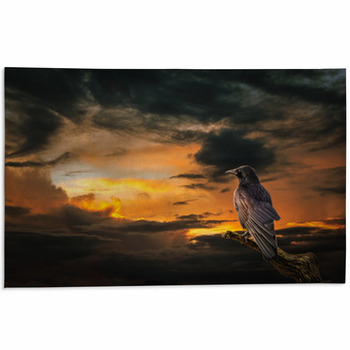 Raven Rugs & Custom Size Floor Mats