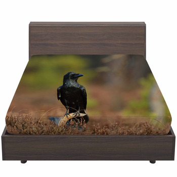 Raven Bedding | Comforters, Duvet Covers, Sheets & Bed Sets | Personalized