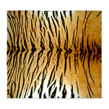 Tiger print Area Rugs & Floor Mats