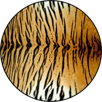 Tiger print Area Rugs & Floor Mats