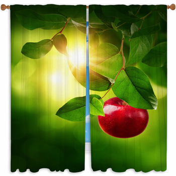 Apple Drapes & Window Treatments | Block Out | Custom Sizes