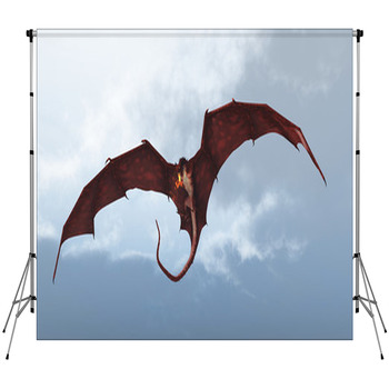 Dragon Photographer Backdrops | Available in Ultra Large Custom Sizes