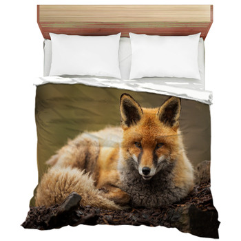 Fox Comforters, Duvets, Sheets & Sets | Custom
