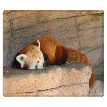 Red panda Area Rugs & Floor Mats
