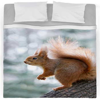 Squirrel Comforters, Duvets, Sheets & Sets | Personalized