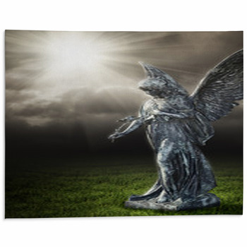Angel Area Rugs & Custom Size Floor Mats