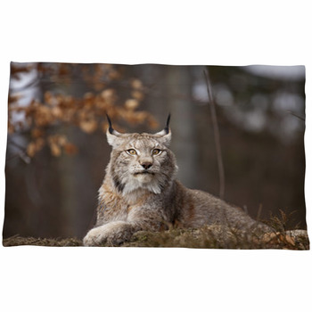 Bobcat Comforters, Duvets, Sheets & Sets | Personalized