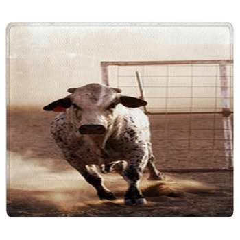 Rodeo Area Rugs & Custom Size Floor Mats