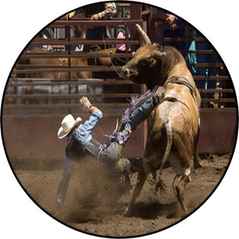 Rodeo Area Rugs & Custom Size Floor Mats