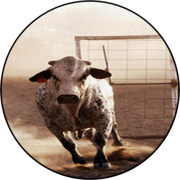 Rodeo Area Rugs & Custom Size Floor Mats