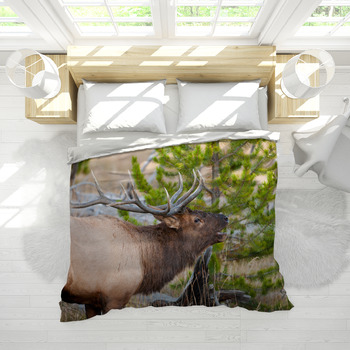 Elk Comforters, Duvets, Sheets & Sets | Custom