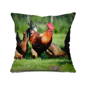Chicken Throw Pillows, Cases
