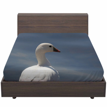 Goose Comforters, Duvets, Sheets & Sets | Custom