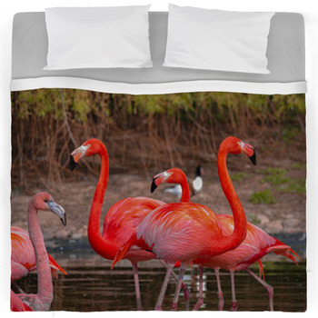 Flamingo Bedding | Comforters, Duvet Covers, Sheets & Bed Sets ...