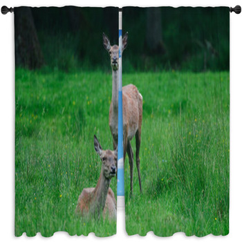 Deer Drapes & Window Treatments | Block Out | Custom Sizes