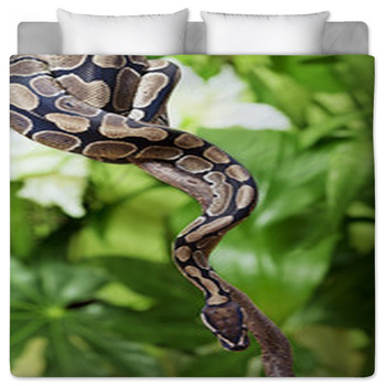 Snake Comforters, Duvets, Sheets & Sets | Custom