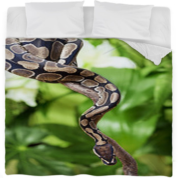 Snake Comforters, Duvets, Sheets & Sets | Custom