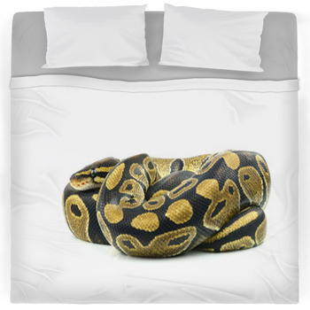 Snake Comforters, Duvets, Sheets & Sets | Custom