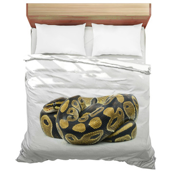 Snake Comforters, Duvets, Sheets & Sets | Custom