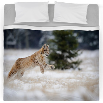 Bobcat Comforters, Duvets, Sheets & Sets | Personalized