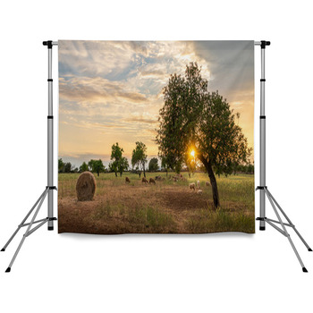Country Photo Backdrops | Available in Ultra Large Custom Sizes