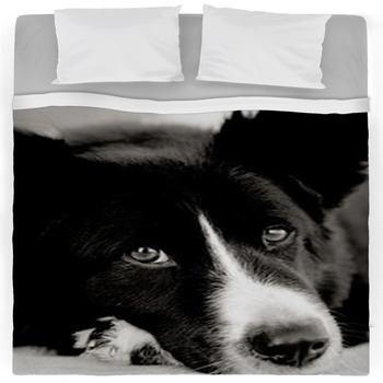 Dog Bedding | Comforters, Duvet Covers, Sheets & Bed Sets | Custom