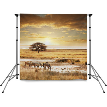 Safari Photo Backdrops | Available in nearly ANY Custom Sizes