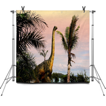 Dinosaur Photo Backdrops | Available in Very Large Custom Sizes